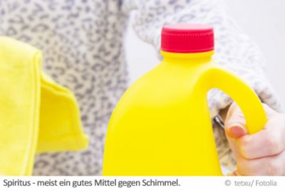 Verwunderlich Spiritus Gegen Schimmel Bild
